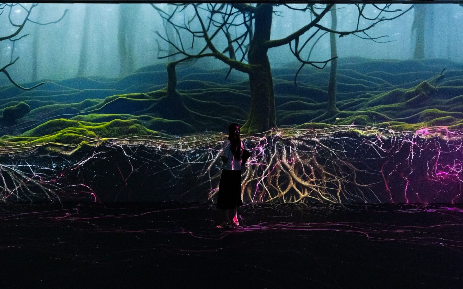 Viff 2023 Vancouver International Film Festival